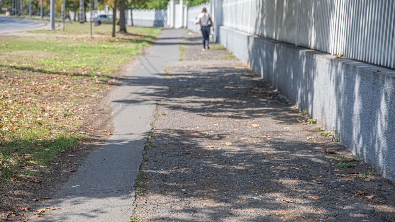 Bokarándító helyenként a körúti járda, szükség esetén javítani fogják