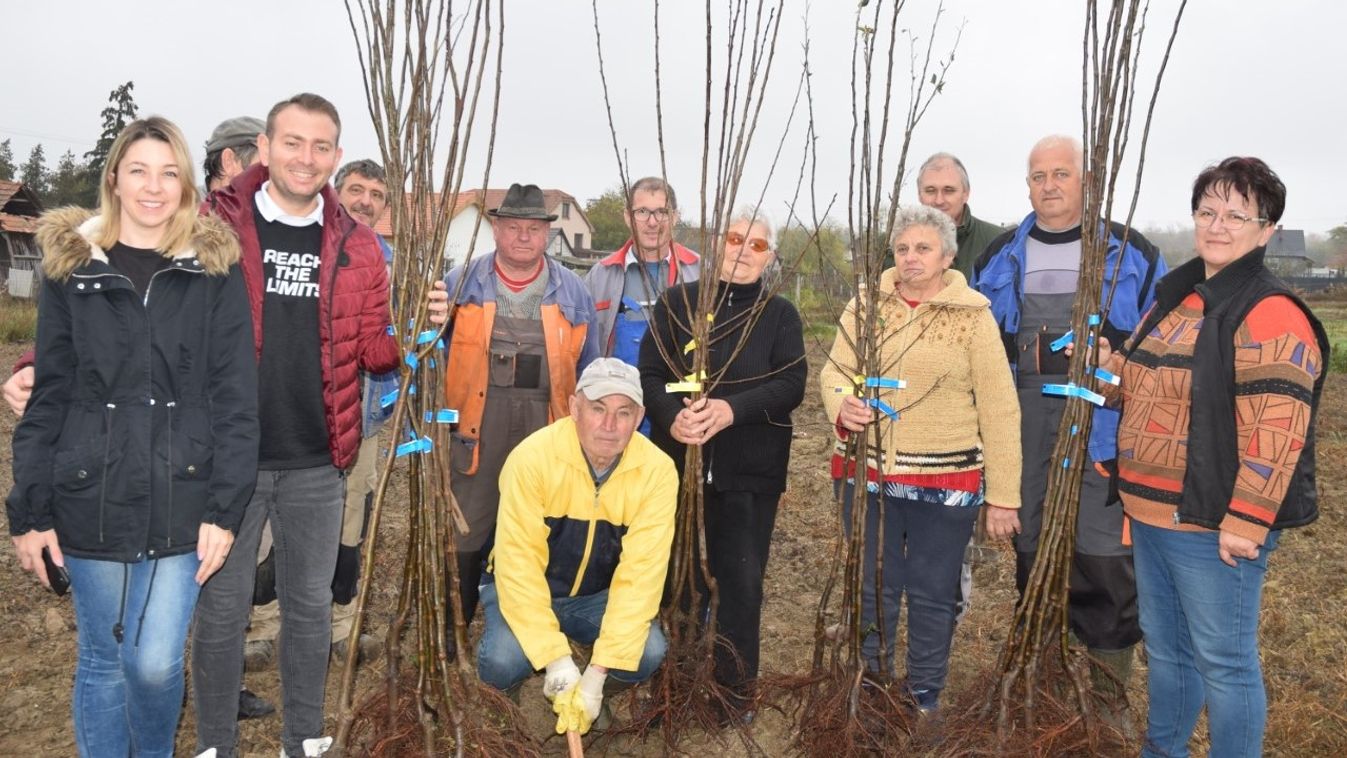 Ültess fát, add tovább az életet!