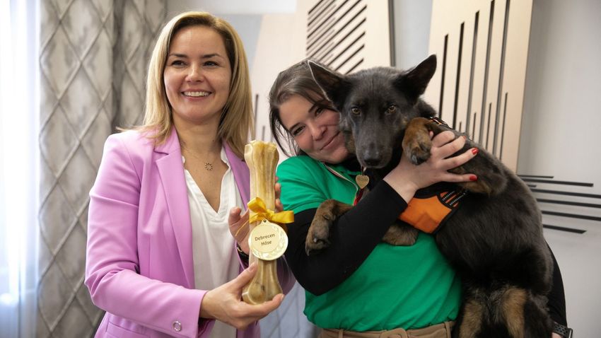 HAON - Széles Diána: „a hősök közöttünk élnek, 16 ember köszönheti nekik az életét”