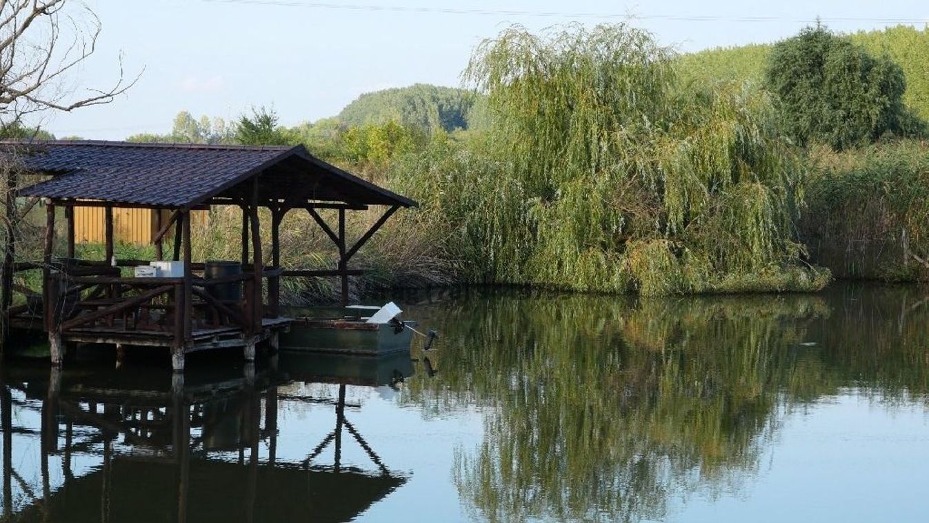 Azonnal birtokba vehető birtok Hajdúszoboszló mellett