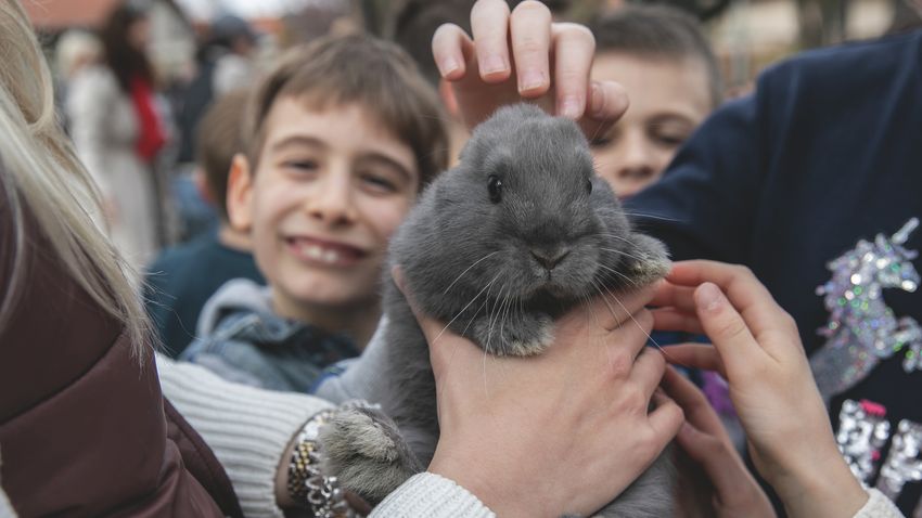 HAON - Húsvéti hangolódás a Csapókertben