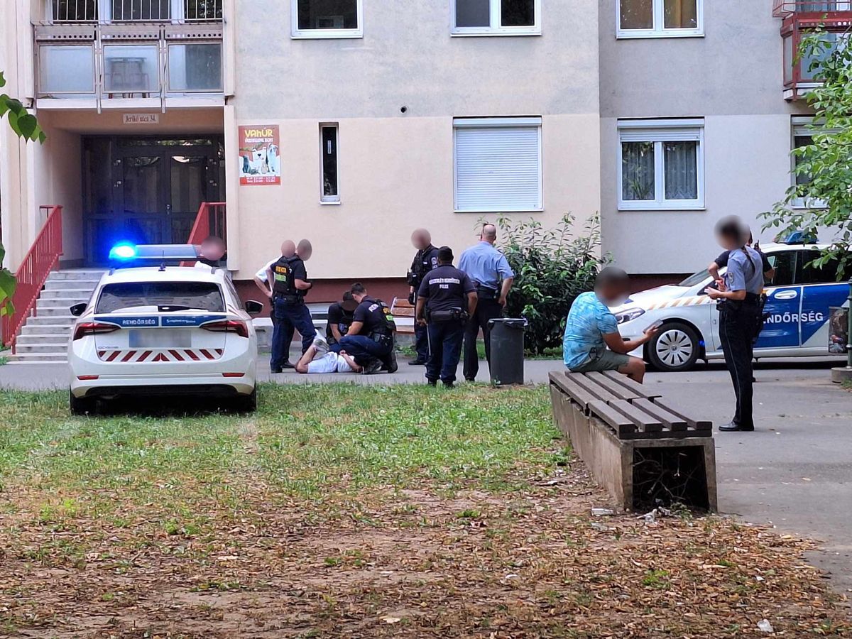 Jerikó utcai balhé: nagy erőkkel mentek ki a rendőrök