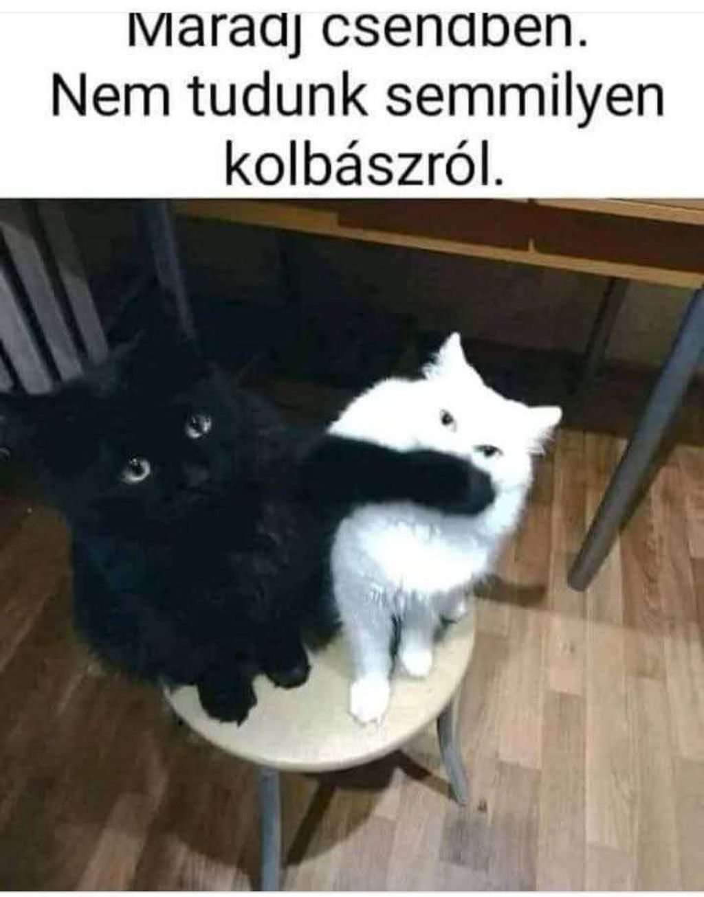 Top 10 legjobb mém olvasóink megosztásából