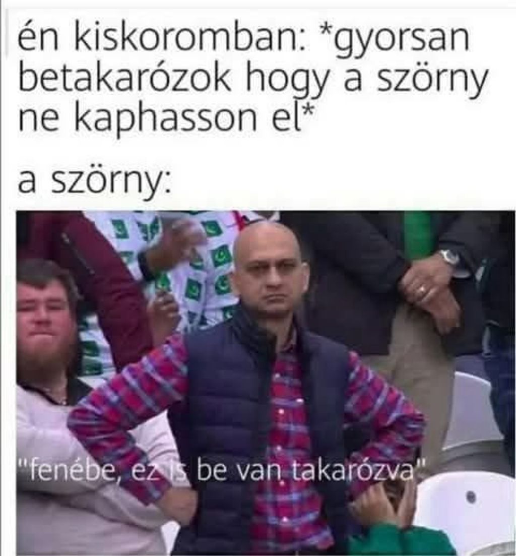 Top 10 legjobb mém olvasóink megosztásából