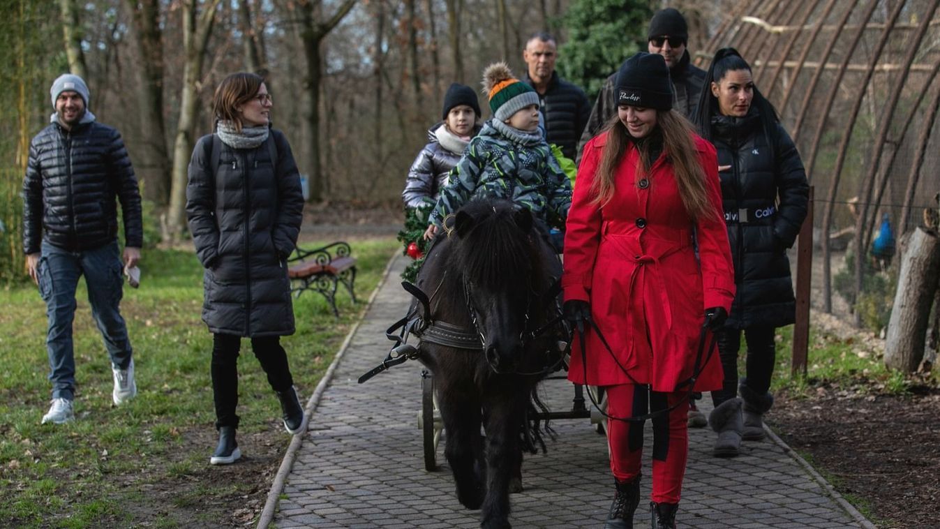 Gólyahír a Zoo Debrecenben: igazi tünemények láttak napvilágot - fotóval!